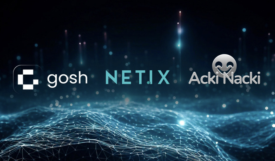 Welcome to the NetIX platform, Telecom IT Solutions!